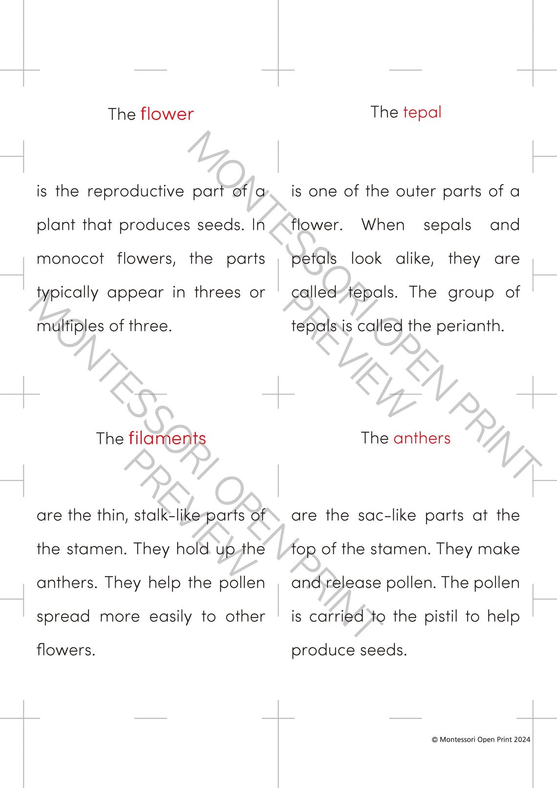 Montessori 3 Part Cards and Definitions Parts of the Monocot Flower - Etsy