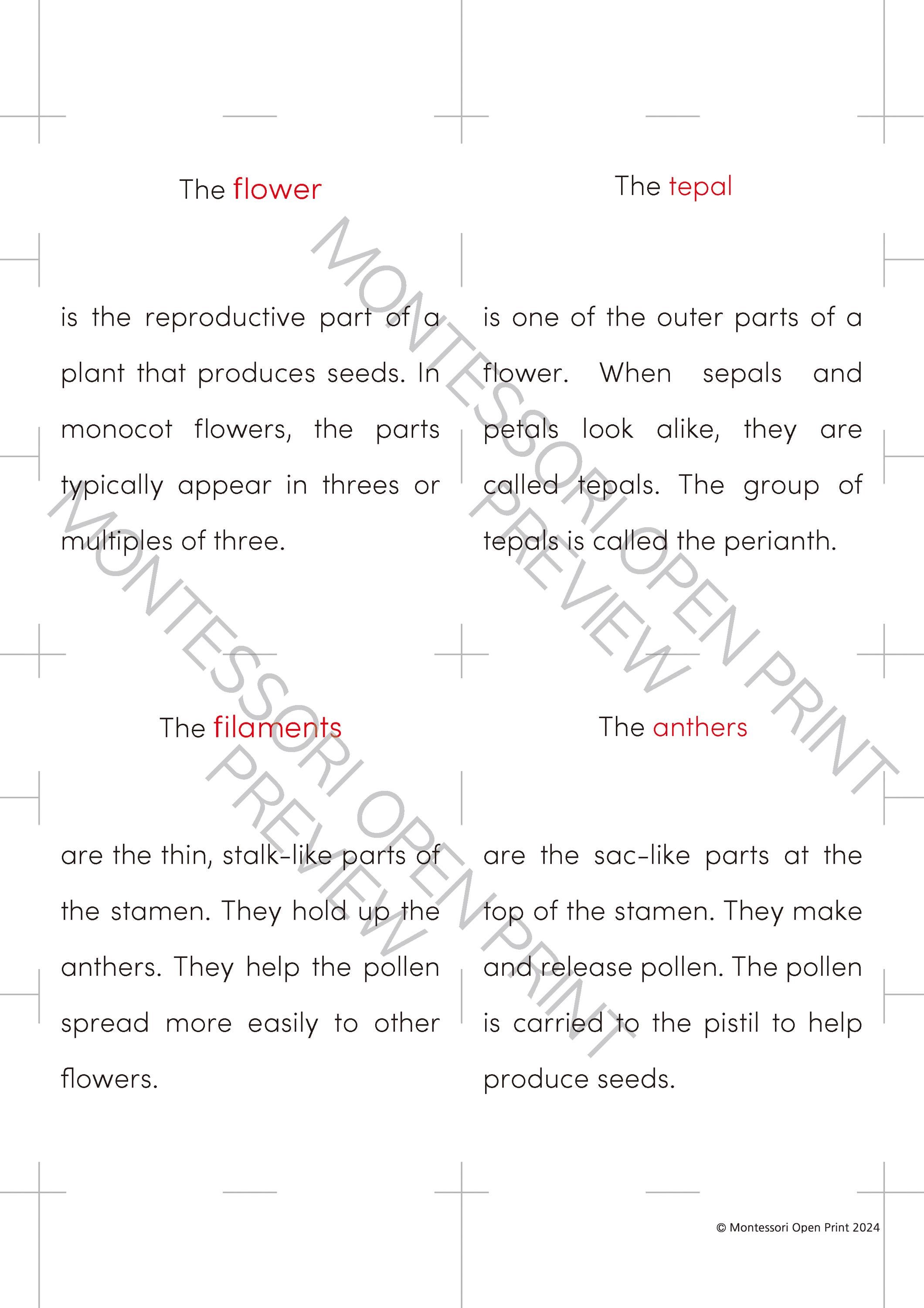 Montessori 3 Part Cards and Definitions Parts of the Monocot Flower - Etsy