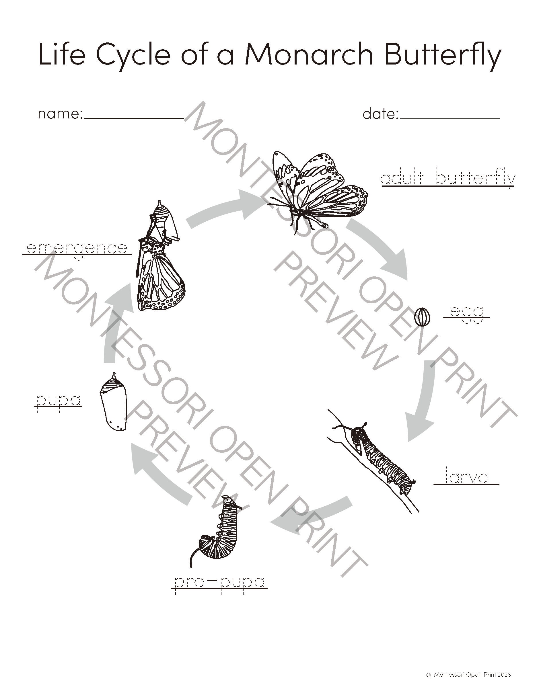 Montessori 3 Part Cards and Definitions Life Cycle of a Butterfly - Etsy