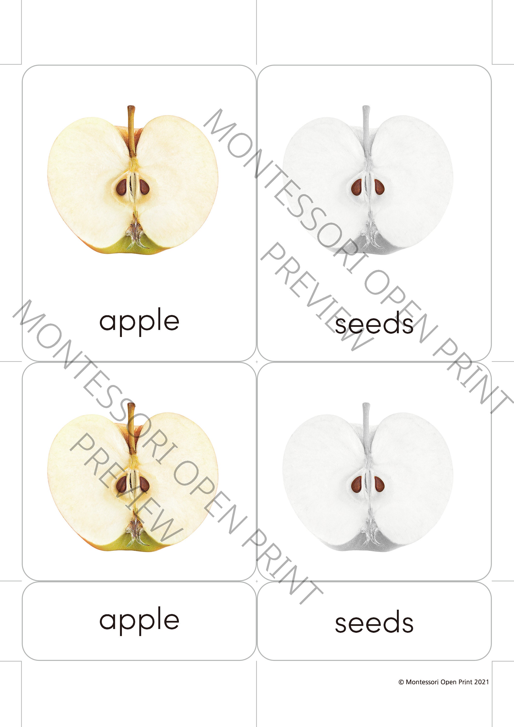 Montessori 3 Part Cards Parts of an Apple - Etsy