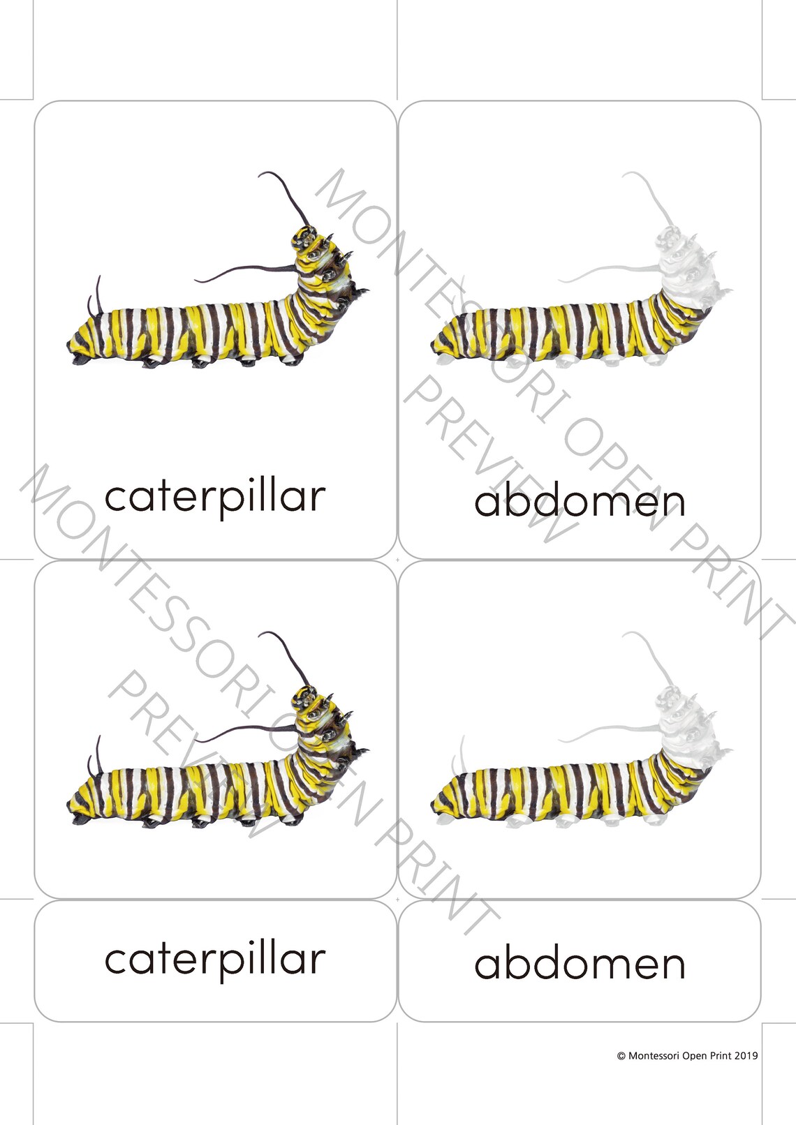 Montessori 3 Part Cards Parts of a Caterpillar - Etsy