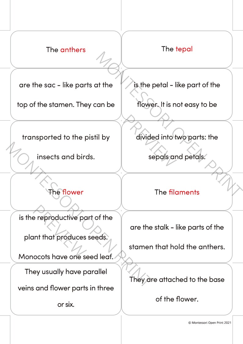 Montessori 3 Part Cards and Definitions Parts of the Monocot - Etsy Canada