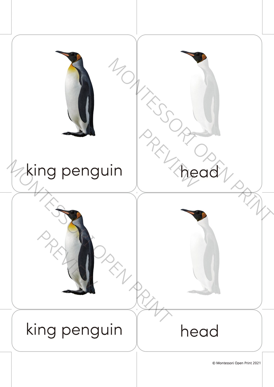 Montessori 3 Part Cards Parts of a King Penguin - Etsy