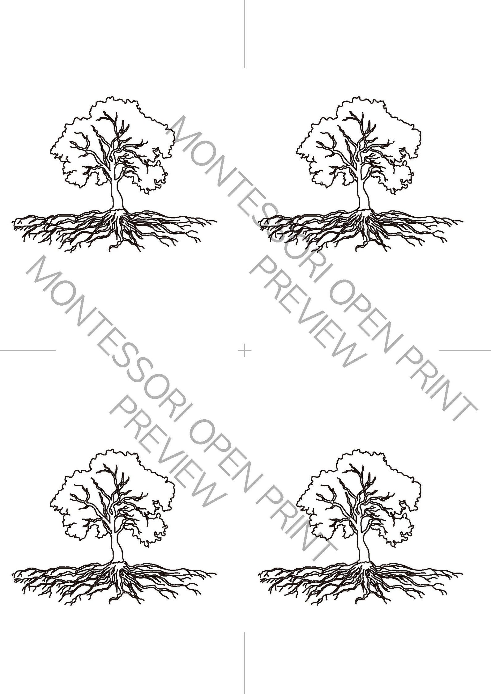 Montessori 3 Part Cards- Parts of a Tree - Etsy