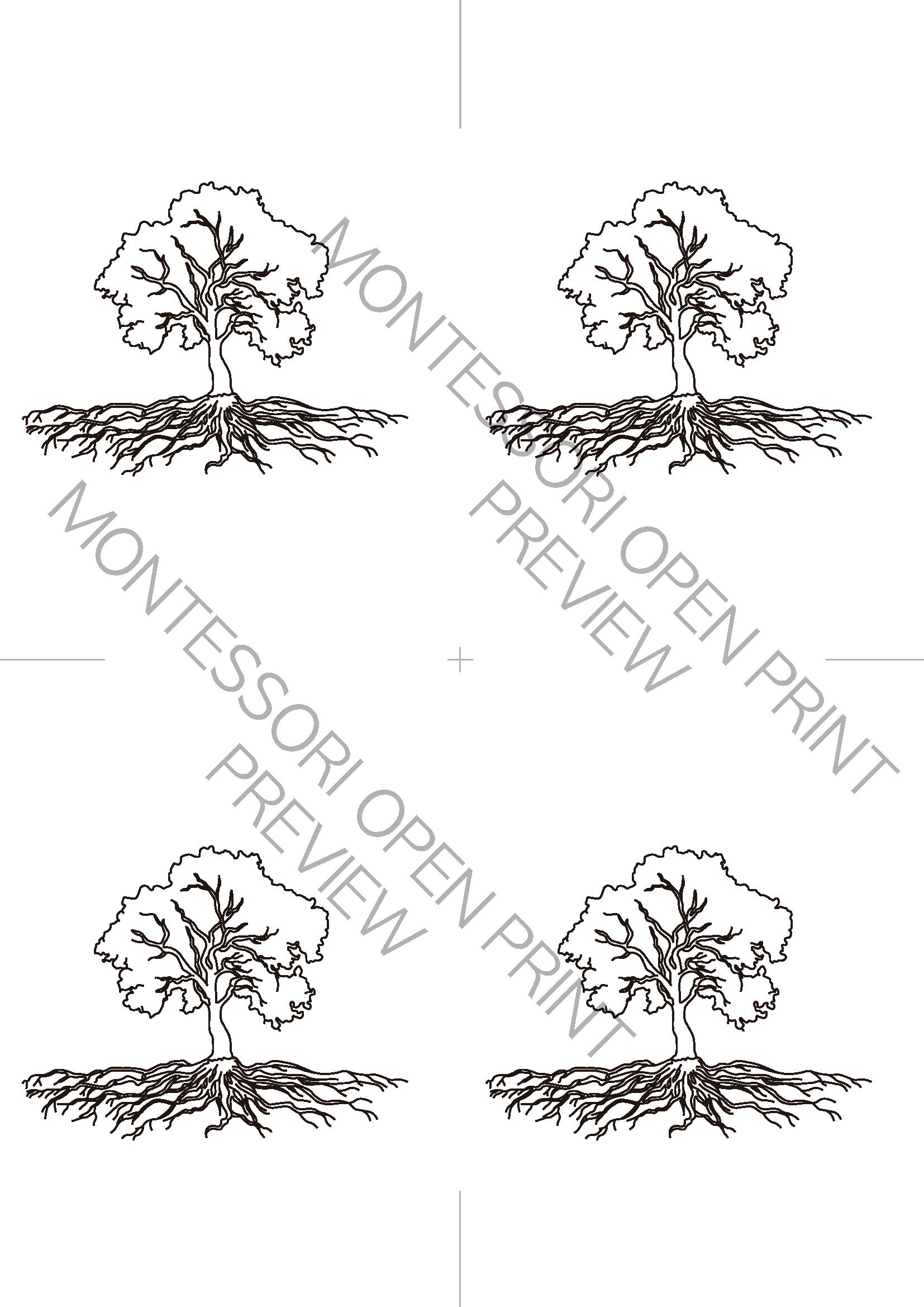 Montessori 3 Part Cards- Parts of a Tree - Etsy