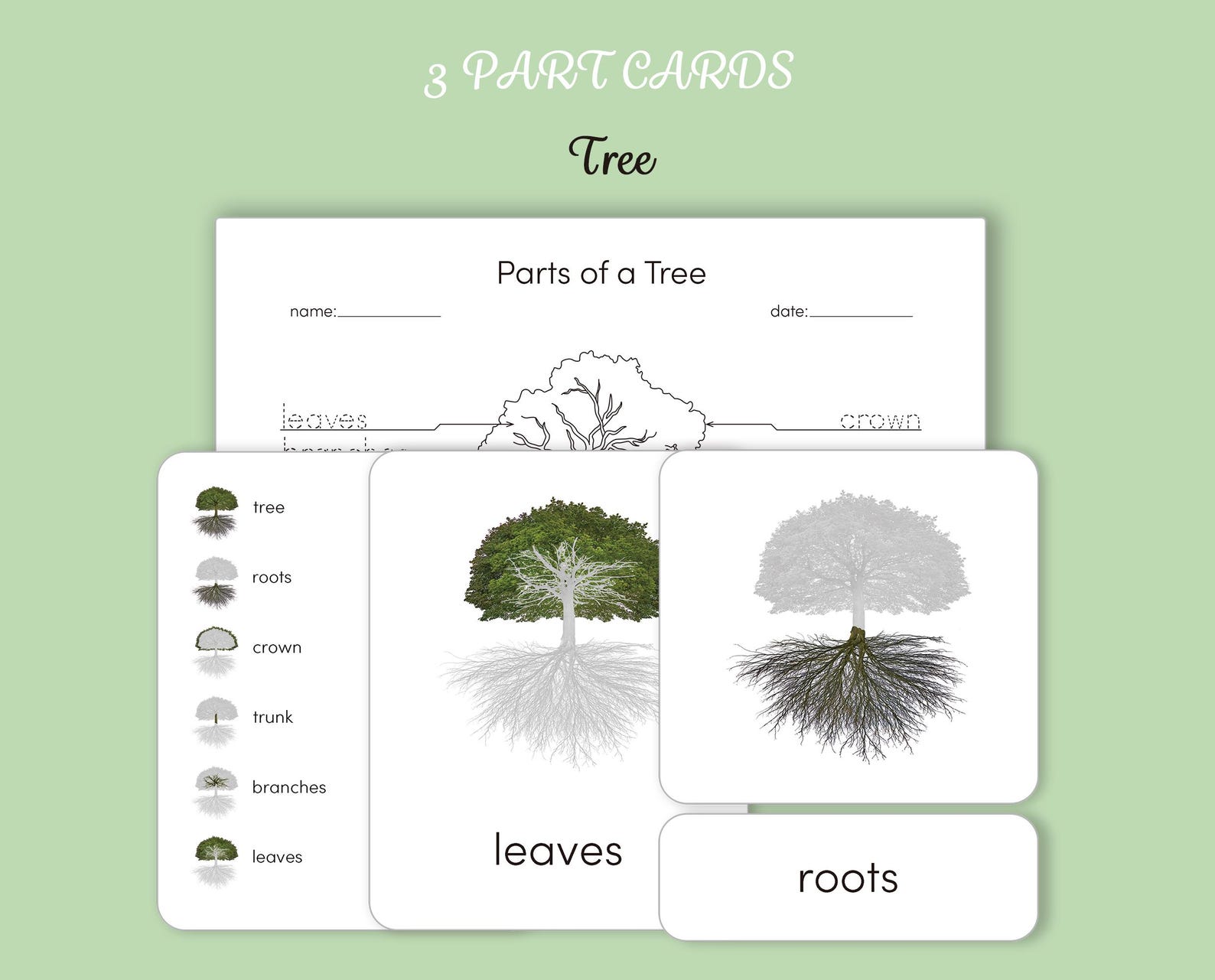 Montessori 3 Part Cards Parts of a Tree - Etsy