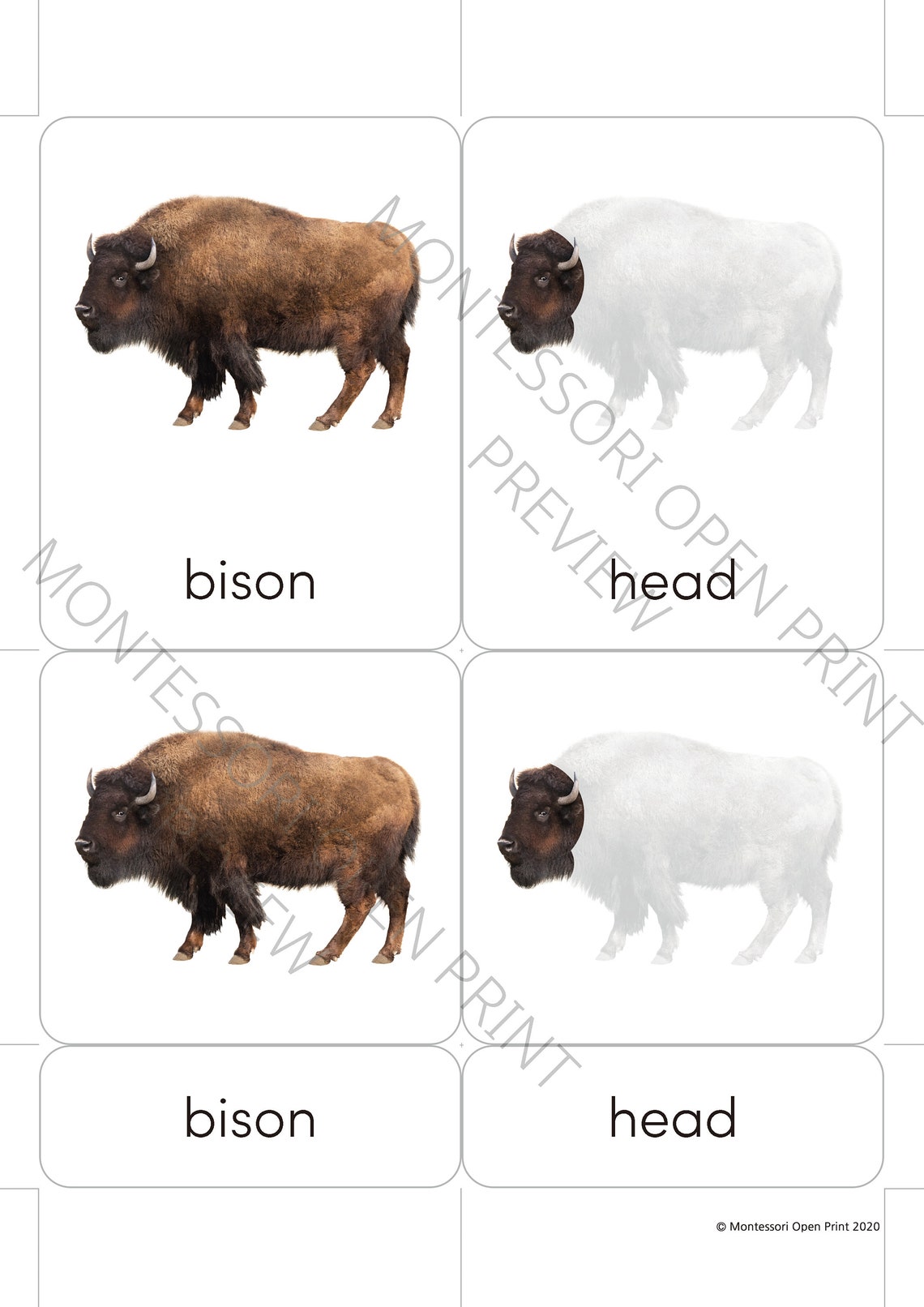 Montessori 3 Part Cards Parts of a Bison - Etsy