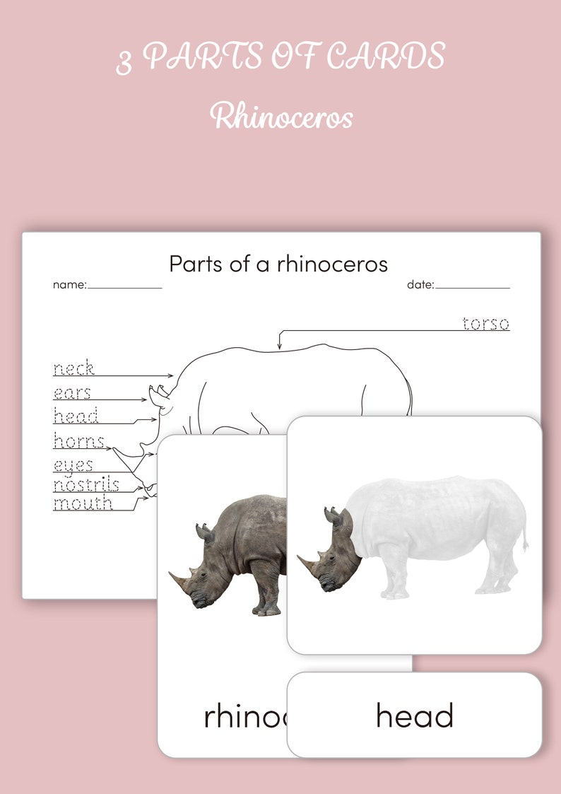 Montessori 3 Part Cards- Parts of a Rhinoceros - Etsy