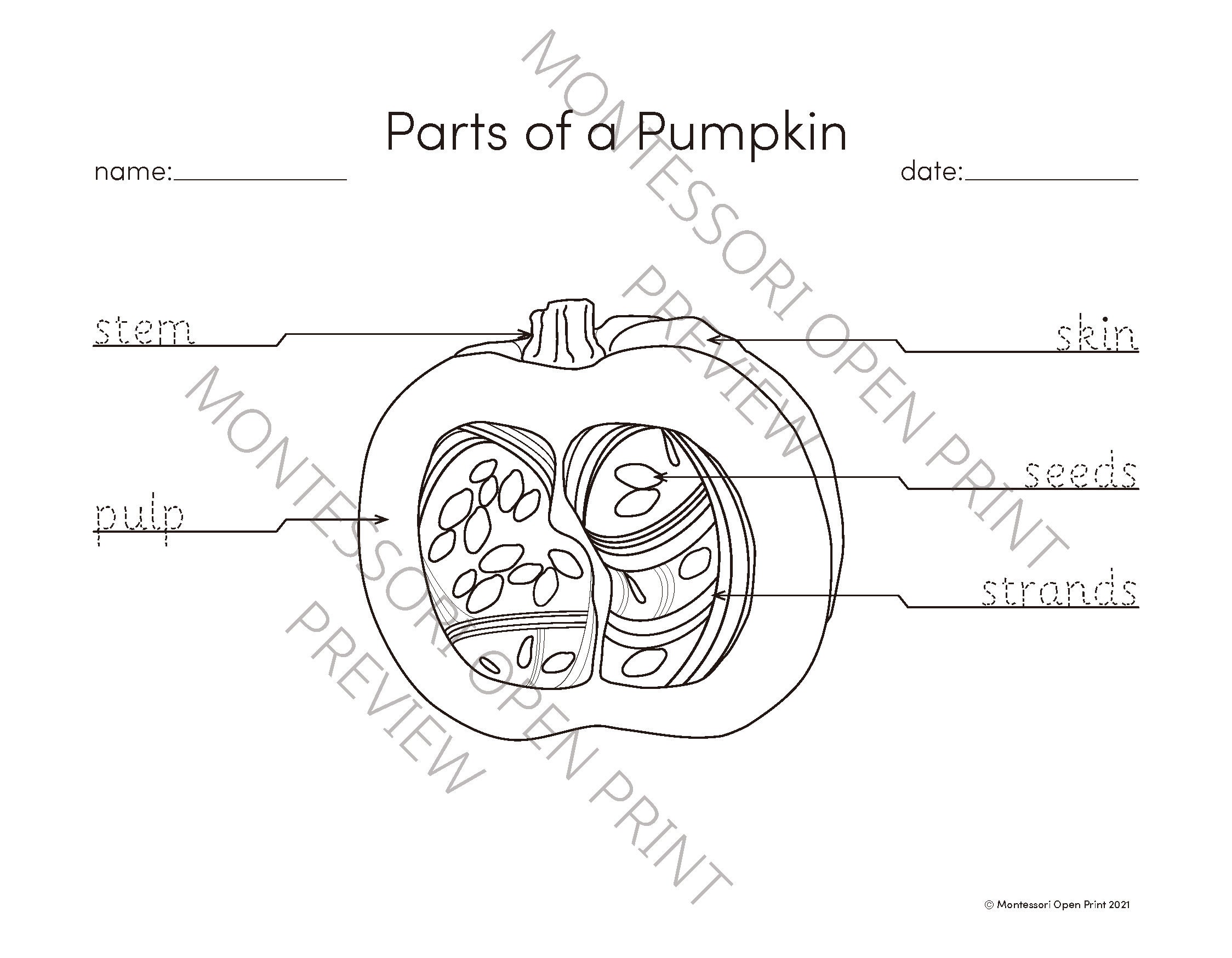 Montessori 3 Part Cards Parts of a Pumpkin - Etsy