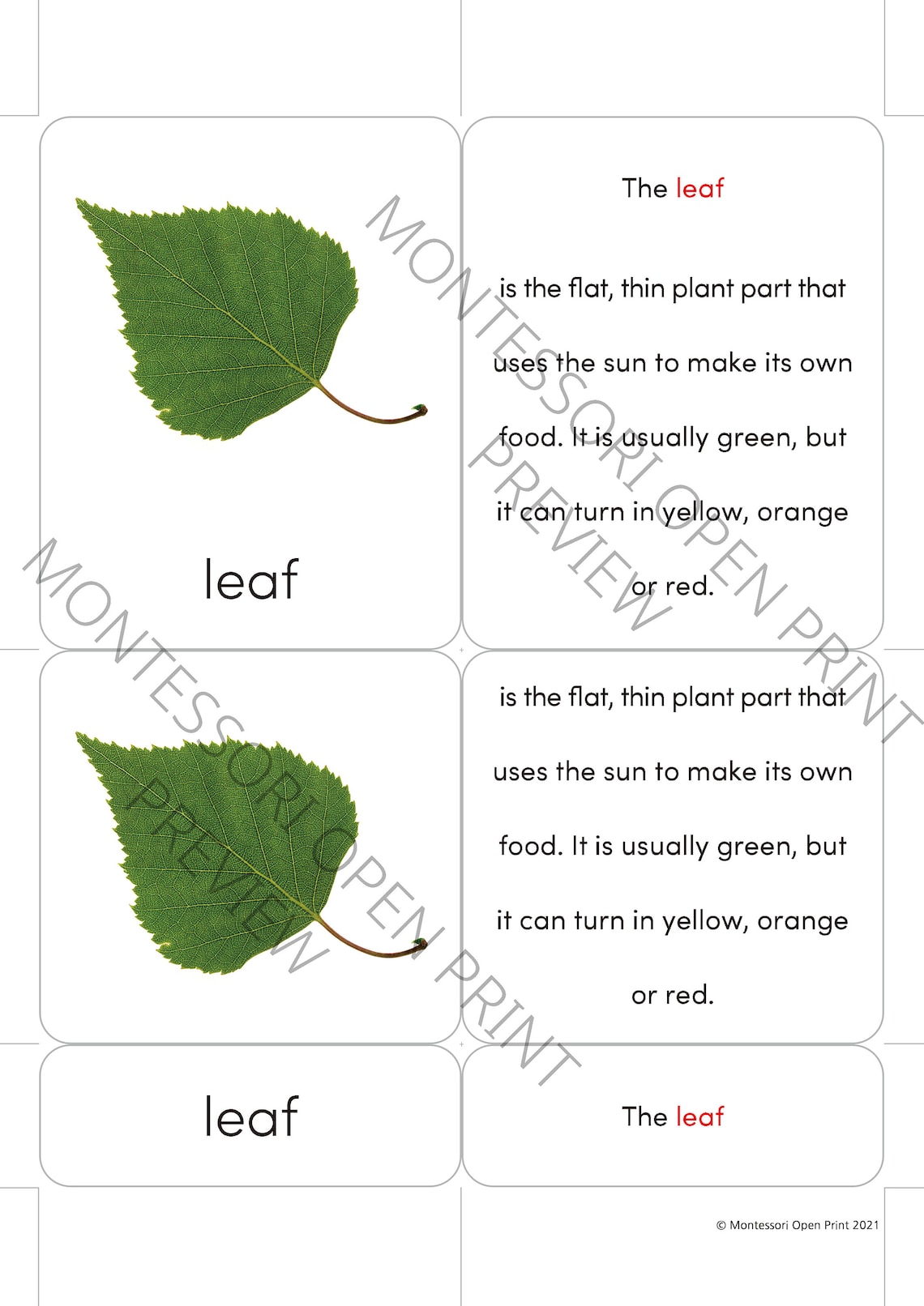 Montessori 3 Part Cards and Definition Cards Parts of the Leaf - Etsy