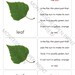 Montessori 3 Part Cards and Definition Cards Parts of the Leaf - Etsy