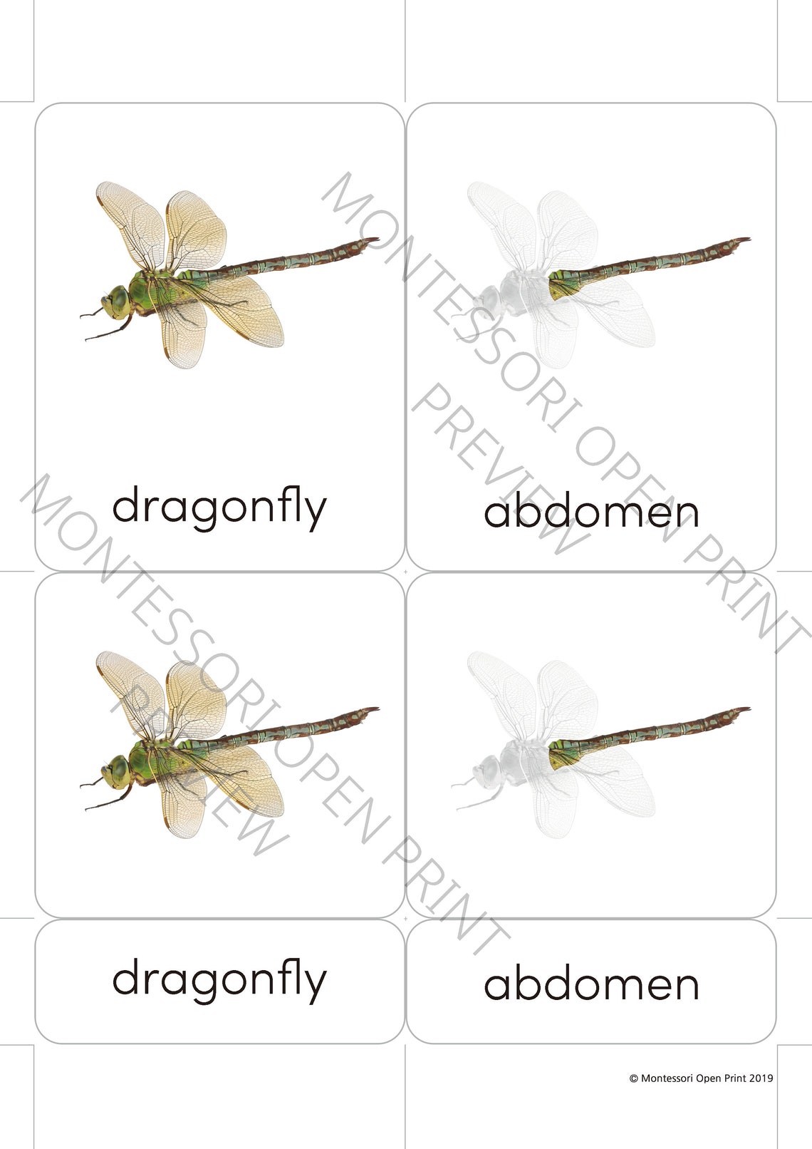 Montessori 3 Part Cards Parts of a Dragonfly - Etsy