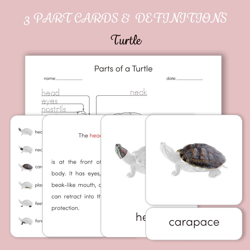 montessoriopenprint - Etsy