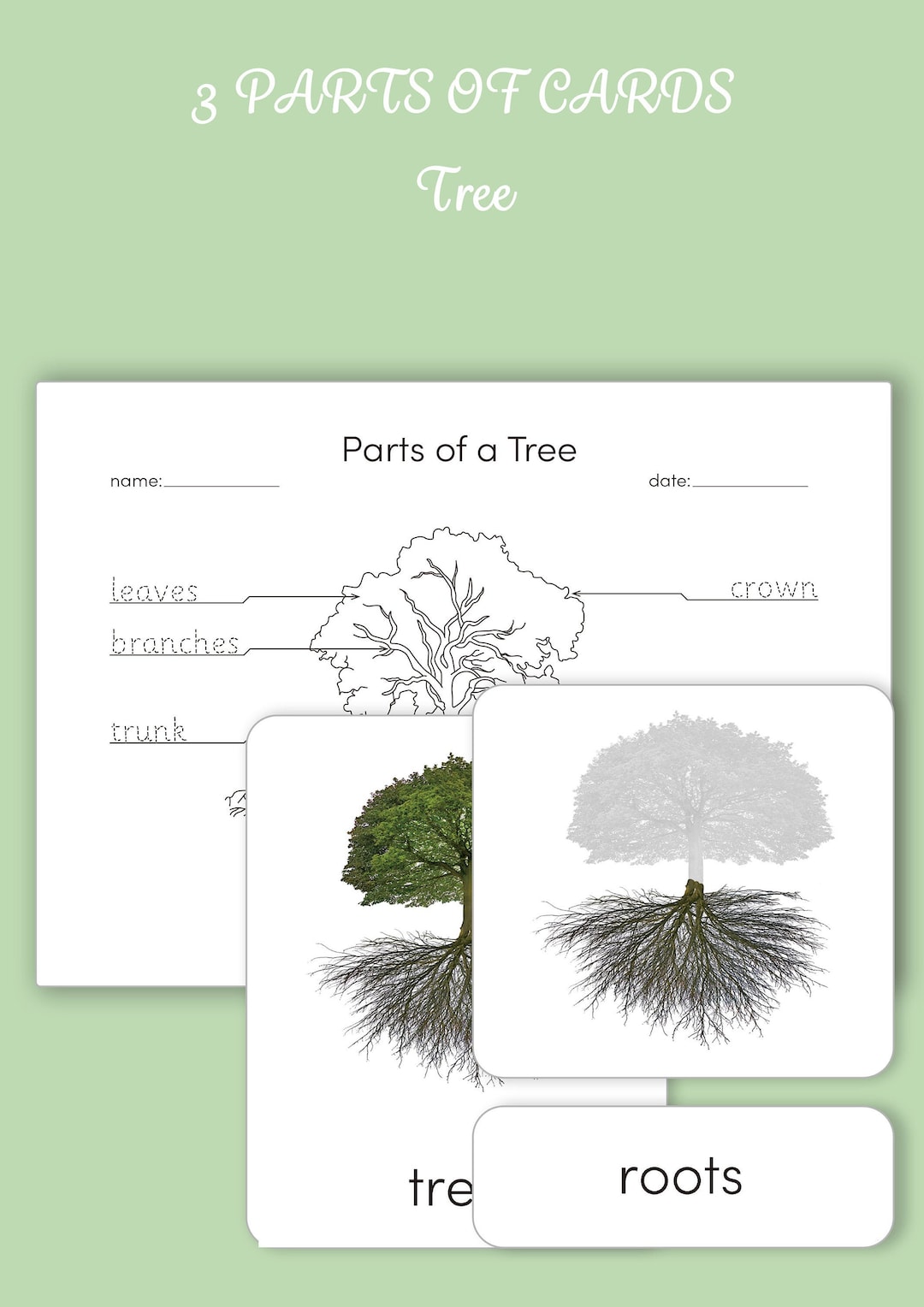 Montessori 3 Part Cards Parts of a Tree - Etsy