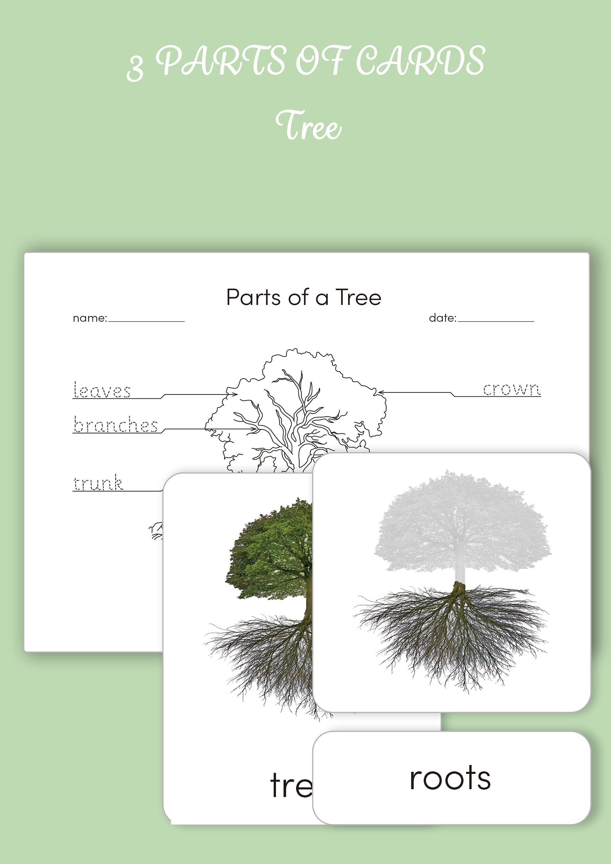 Montessori 3 Part Cards Parts of a Tree - Etsy