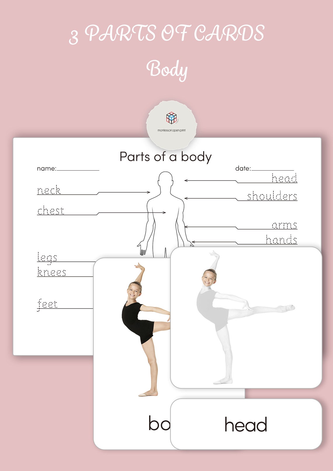 Montessori 3 Part Cards Parts of a Body - Etsy