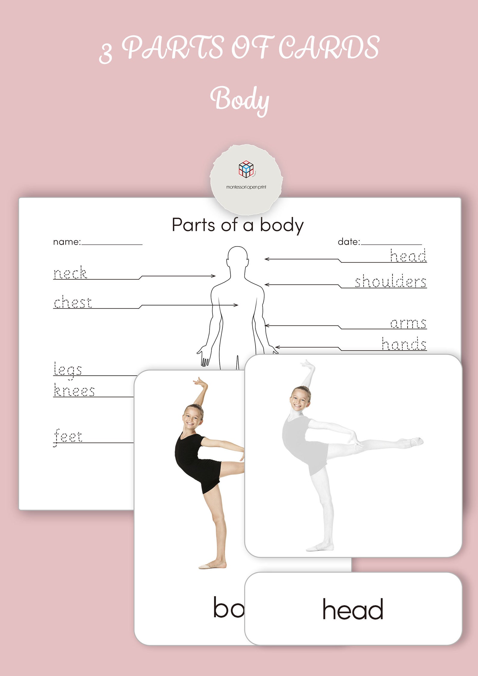 Montessori 3 Part Cards Parts of a Body - Etsy