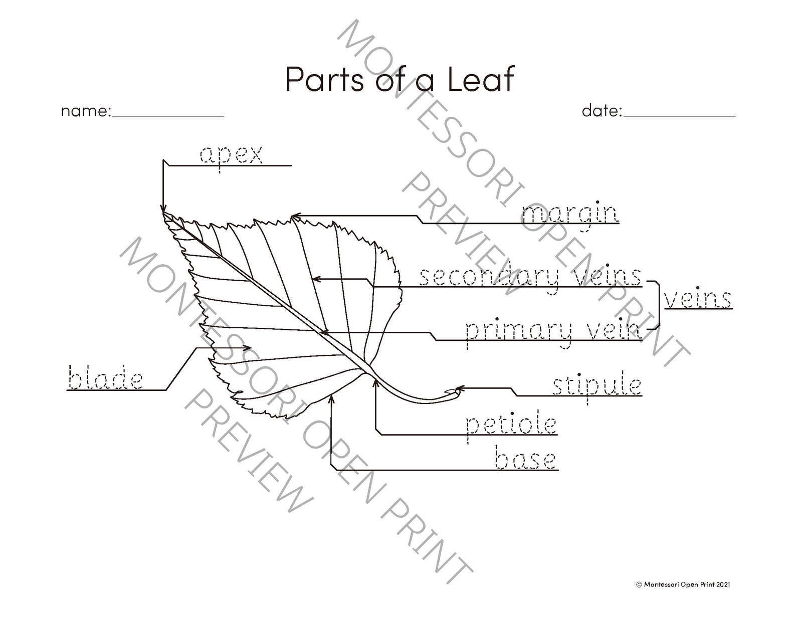 Montessori 3 Part Cards Parts of a Leaf - Etsy