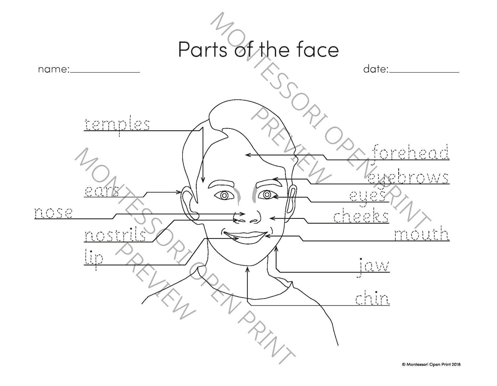 Montessori 3 Part Cards Parts of the Face - Etsy