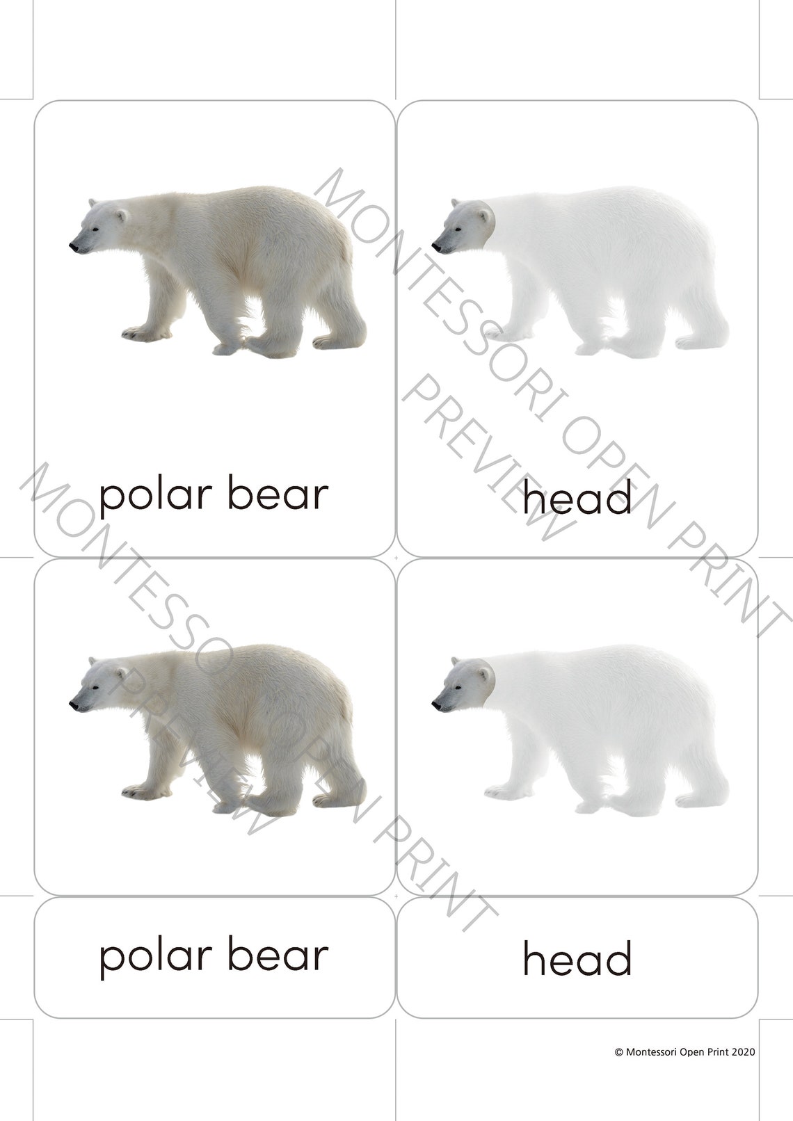 Montessori 3 Part Cards Parts of a Polar Bear - Etsy