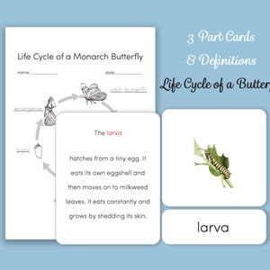 montessoriopenprint - Etsy