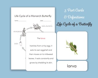 Montessori 3 Part Cards Parts of a Dragonfly - Etsy