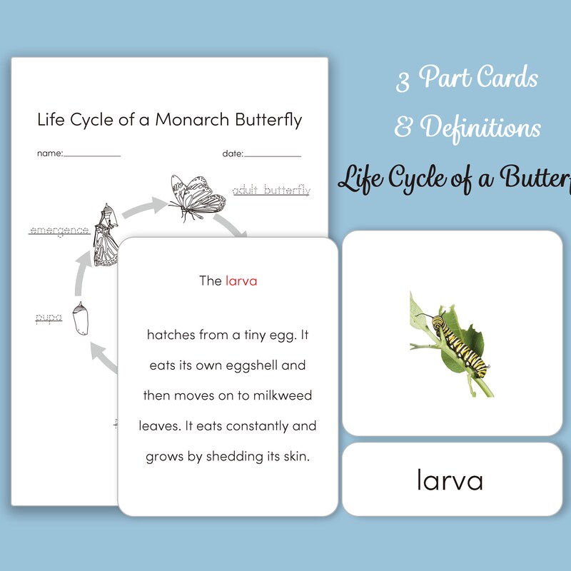 montessoriopenprint - Etsy