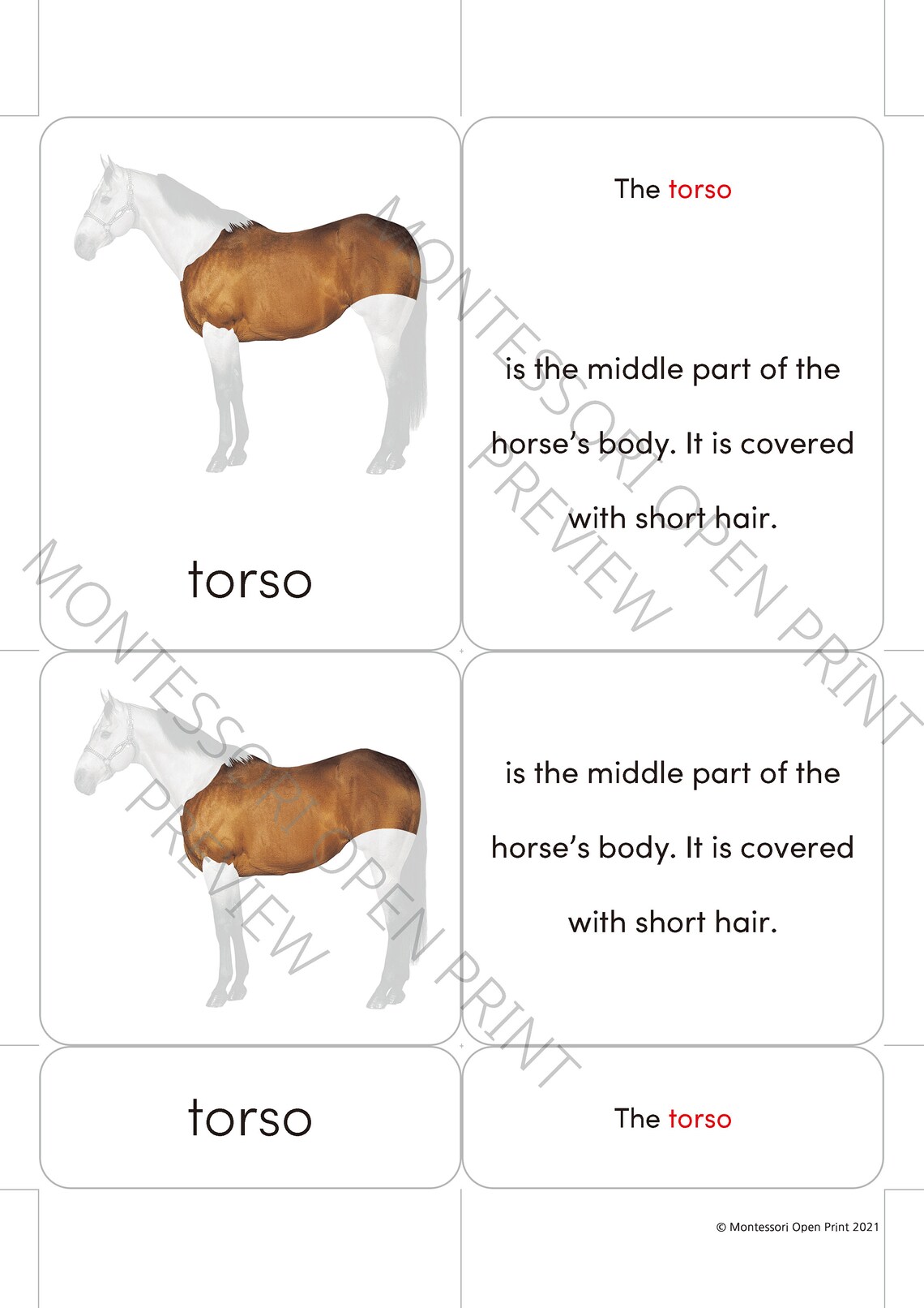 Montessori 3 Part Cards and Definitions Parts of the Horse - Etsy