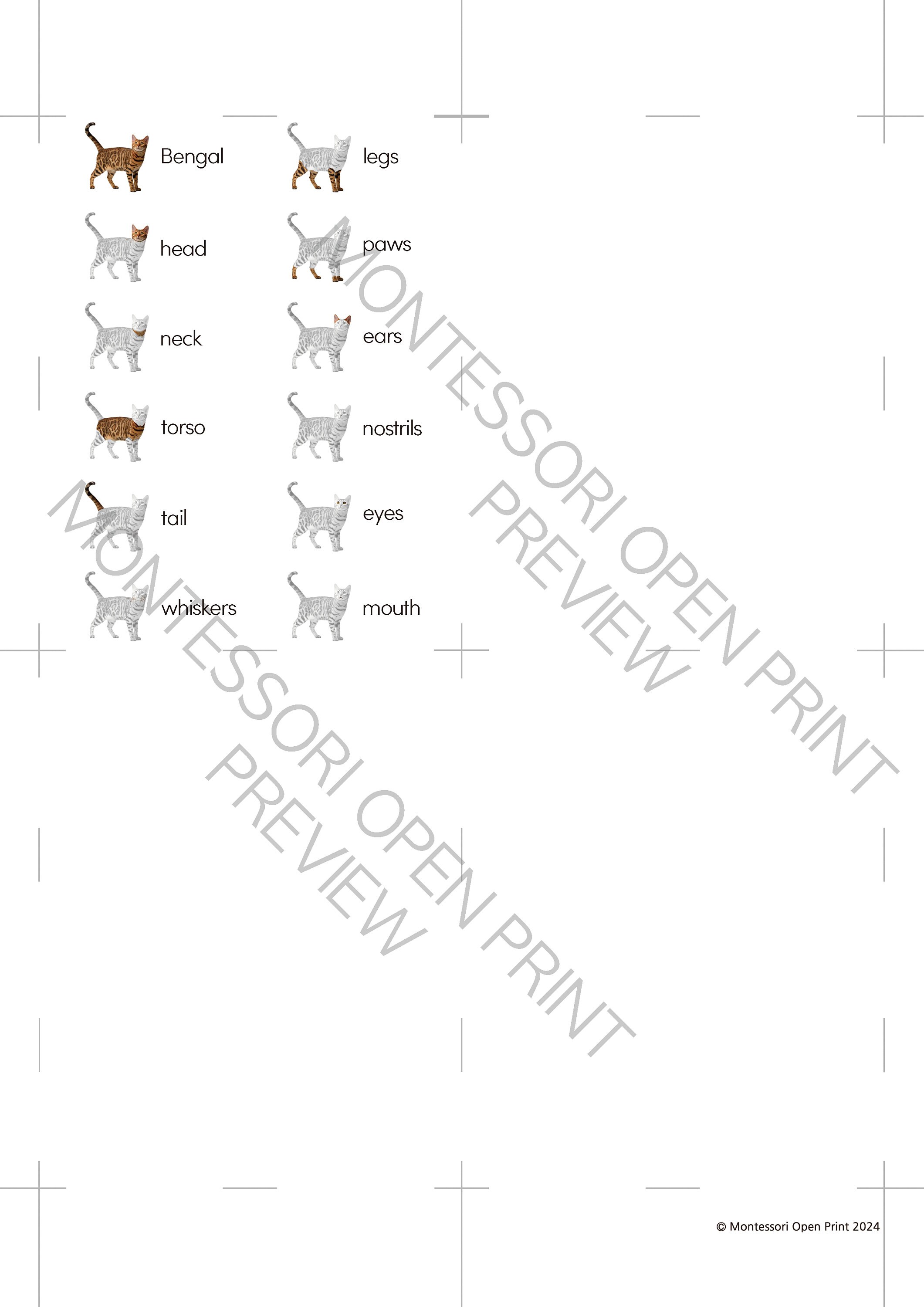Montessori 3 Part Cards Parts of a Cat and 12 Cat Breeds - Etsy