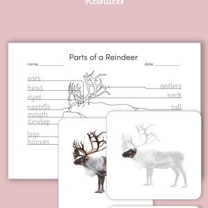 montessoriopenprint - Etsy