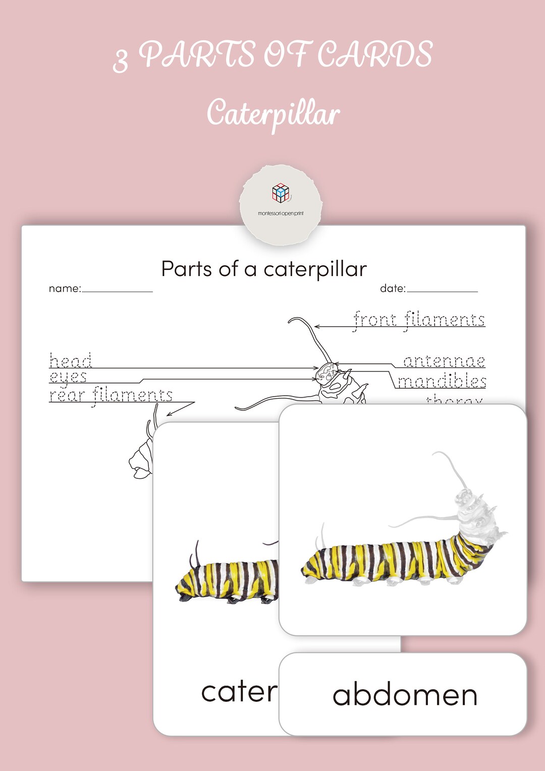 This item is unavailable - Etsy