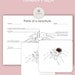 Montessori 3 Part Cards Parts of a Tarantula - Etsy