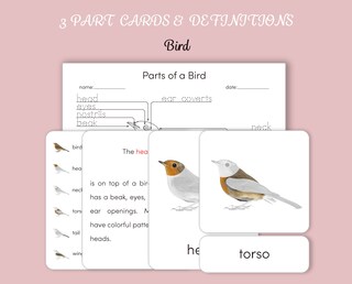 montessoriopenprint - Etsy