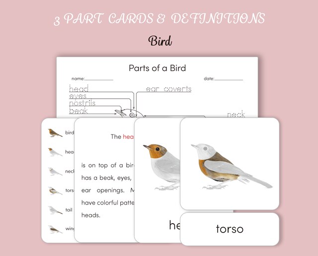 montessoriopenprint - Etsy