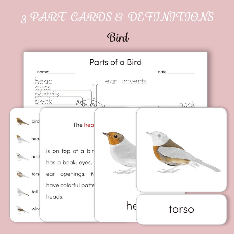 montessoriopenprint - Etsy