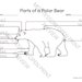 Montessori 3 Part Cards Parts of a Polar Bear - Etsy