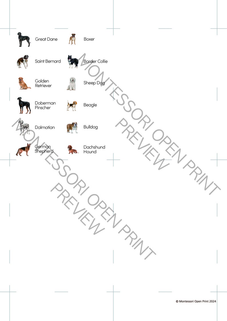 Montessori 3 Part Cards Parts of a Dog and 12 Dog Breeds - Etsy