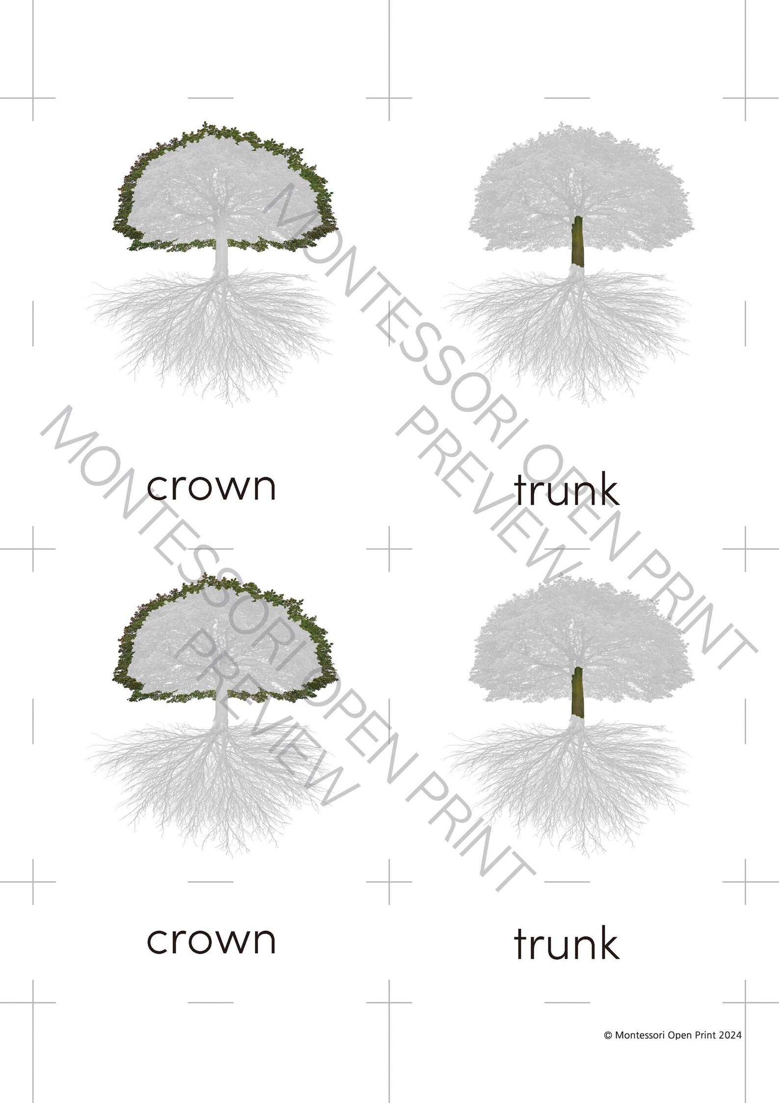Montessori 3 Part Cards Parts of a Tree - Etsy