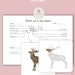 Montessori 3 Part Cards Parts of a Red Deer - Etsy