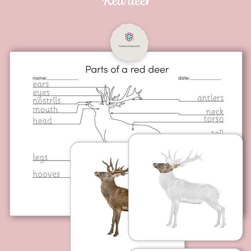 montessoriopenprint - Etsy