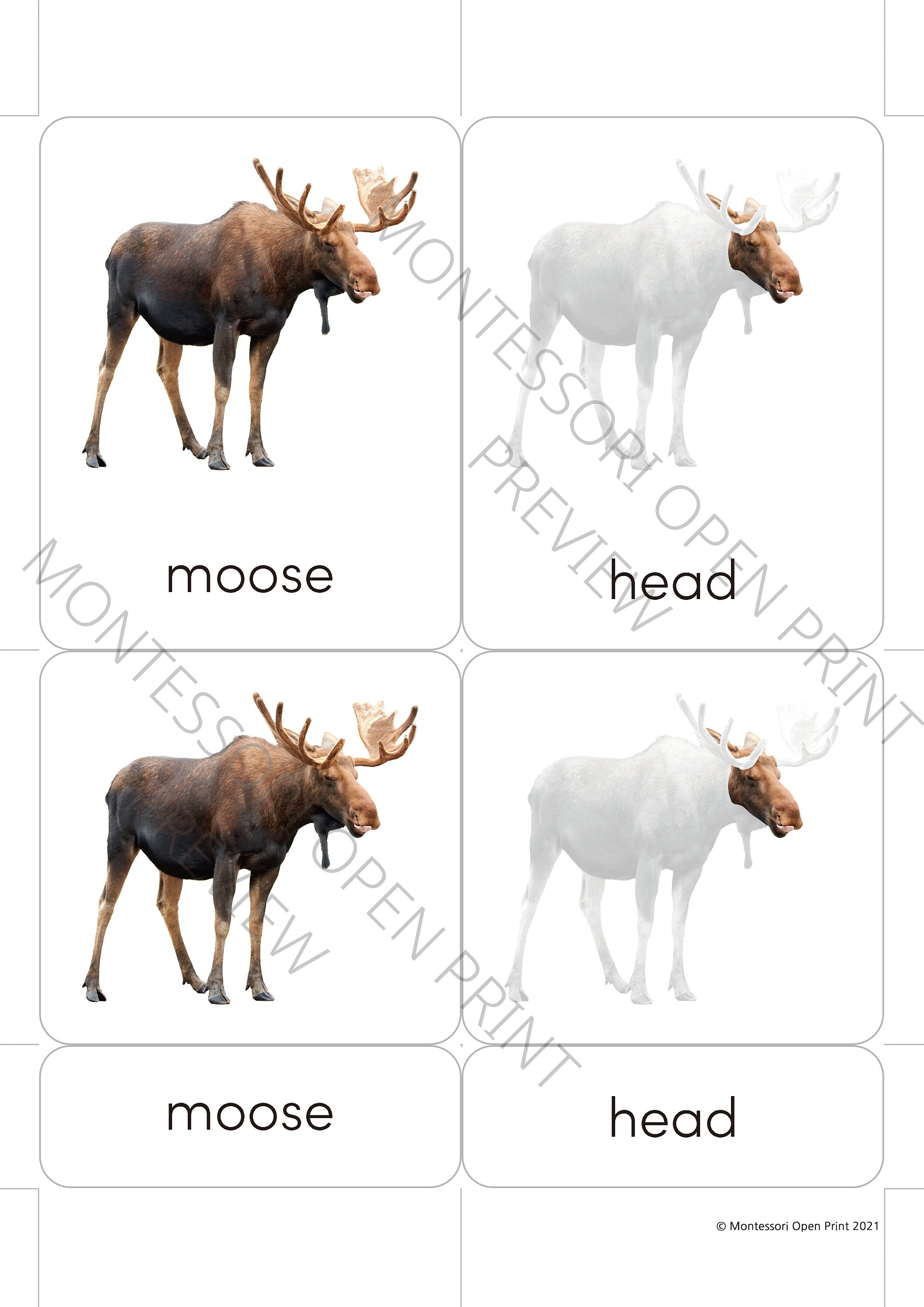 Montessori 3 Part Cards Parts of a Moose - Etsy