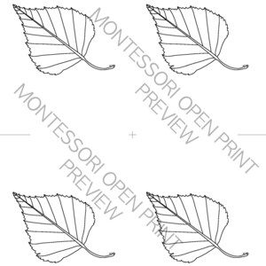 Montessori 3 Part Cards Parts of a Leaf - Etsy