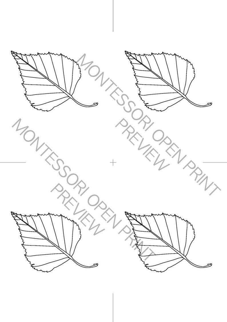 Montessori 3 Part Cards Parts of a Leaf - Etsy