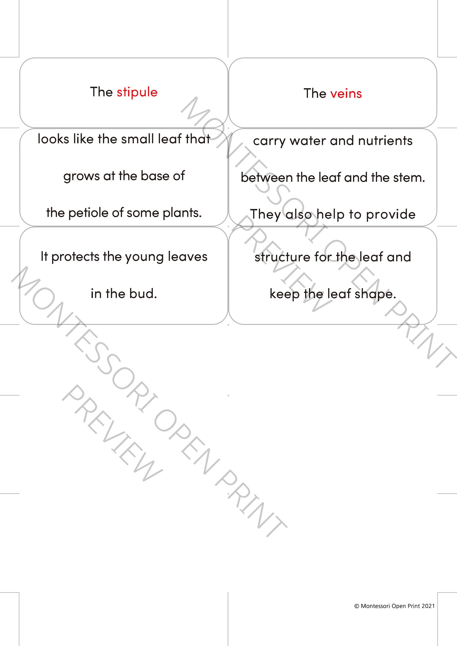 Montessori 3 Part Cards and Definition Cards Parts of the Leaf - Etsy