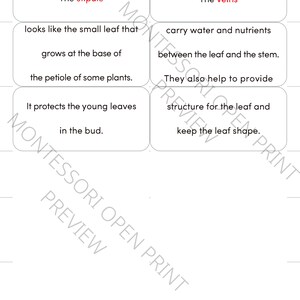 Montessori 3 Part Cards and Definition Cards Parts of the Leaf - Etsy