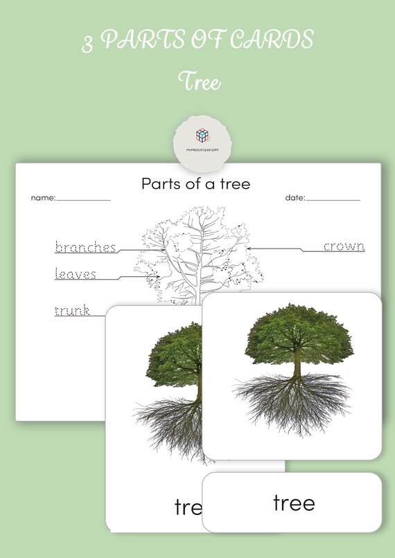 Montessori 3 Part Cards Parts of a Tree | Etsy
