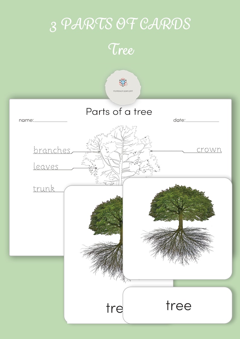 Montessori 3 Part Cards Parts of a Tree | Etsy