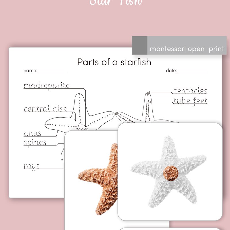 montessoriopenprint - Etsy