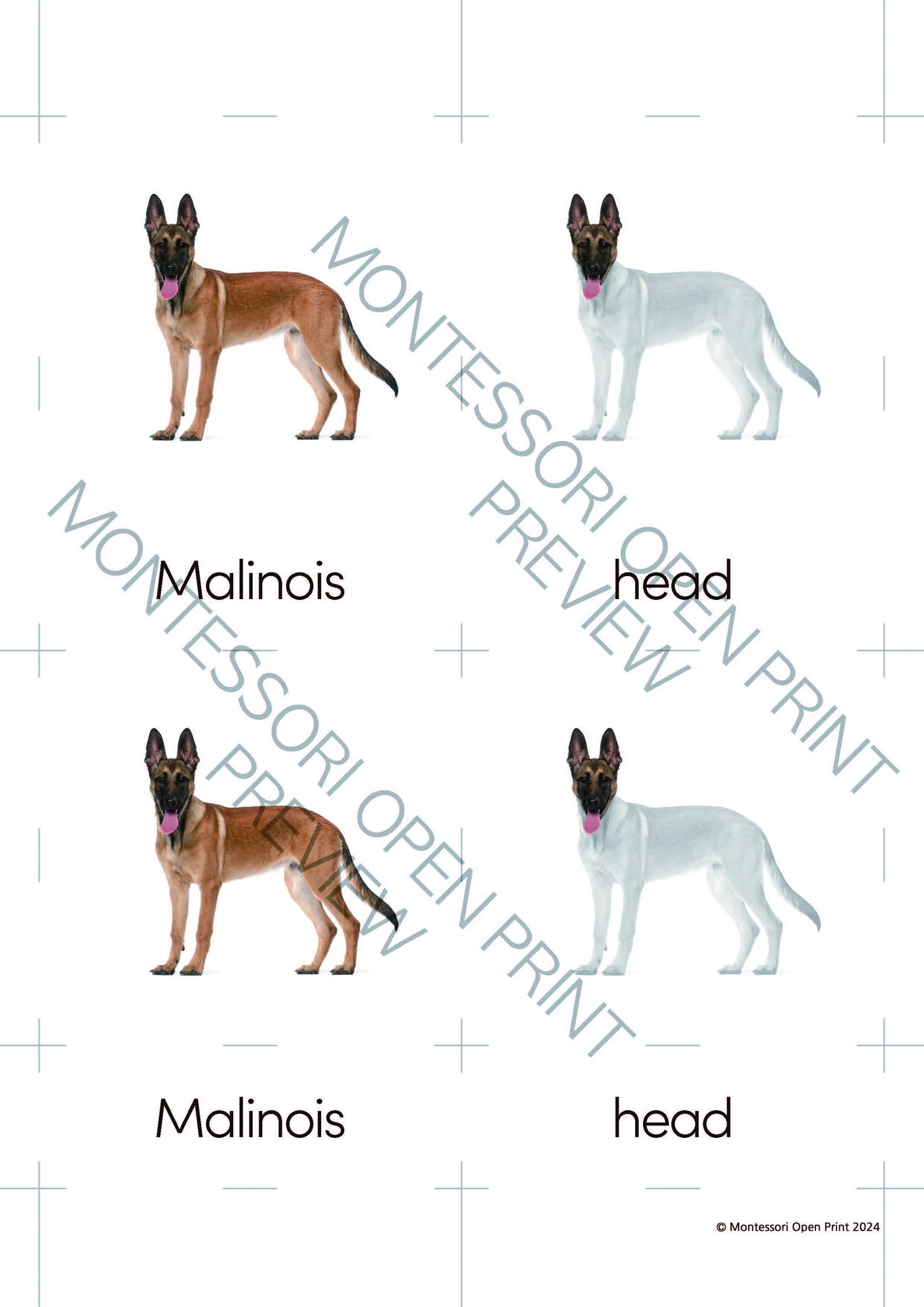 Montessori 3 Part Cards Parts of a Dog and 12 Dog Breeds - Etsy