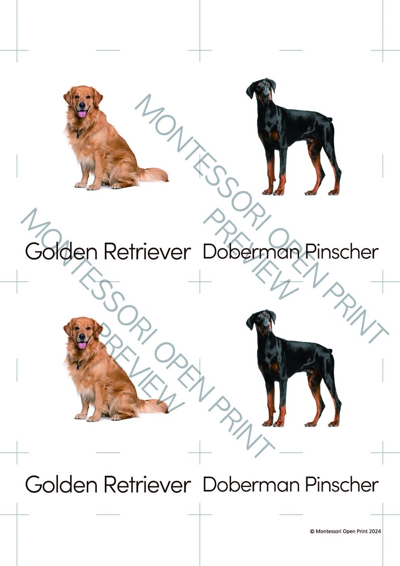 Montessori 3 Part Cards Parts of a Dog and 12 Dog Breeds - Etsy
